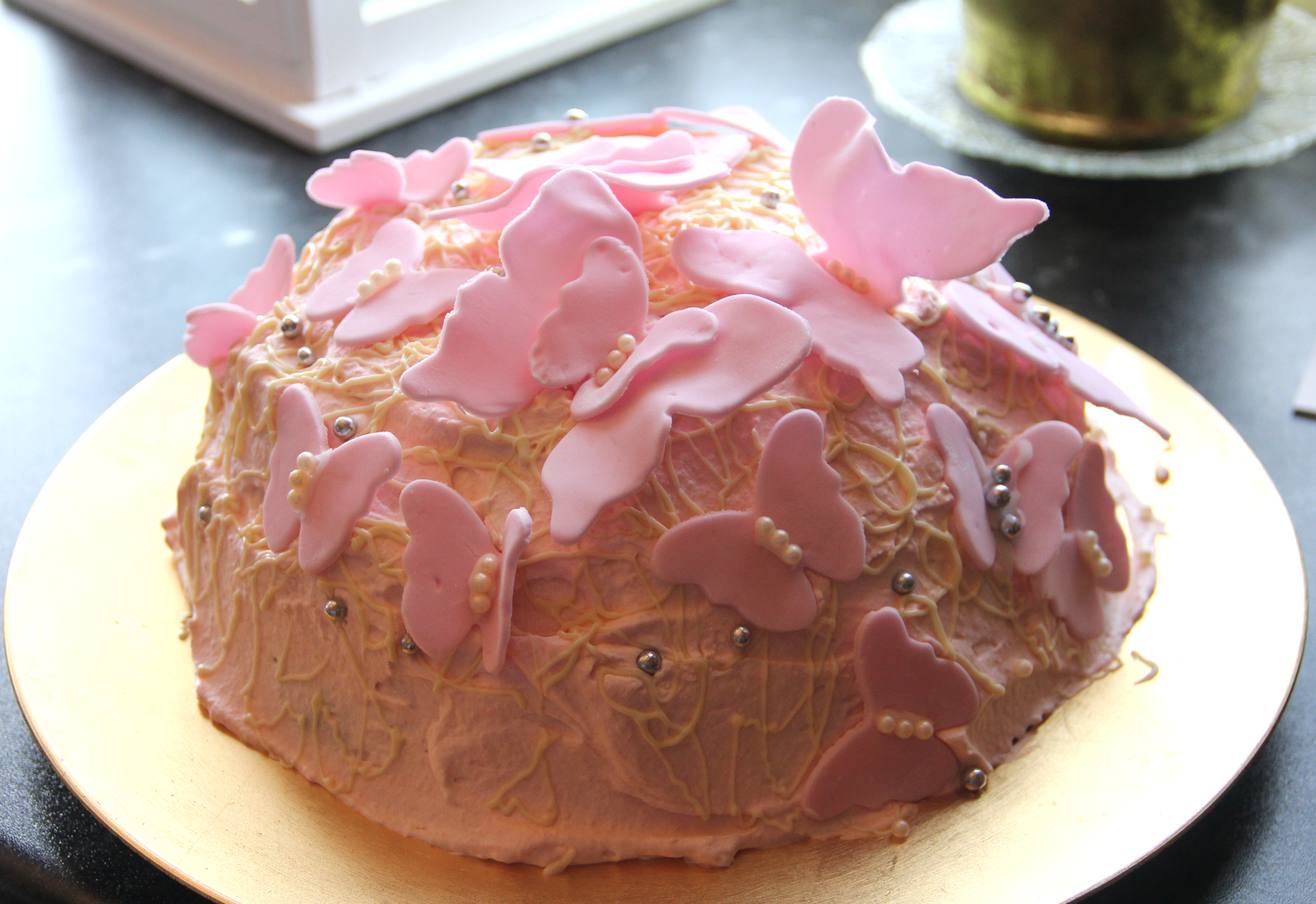 Anopin synttärikakku | Kodin Kuvalehti