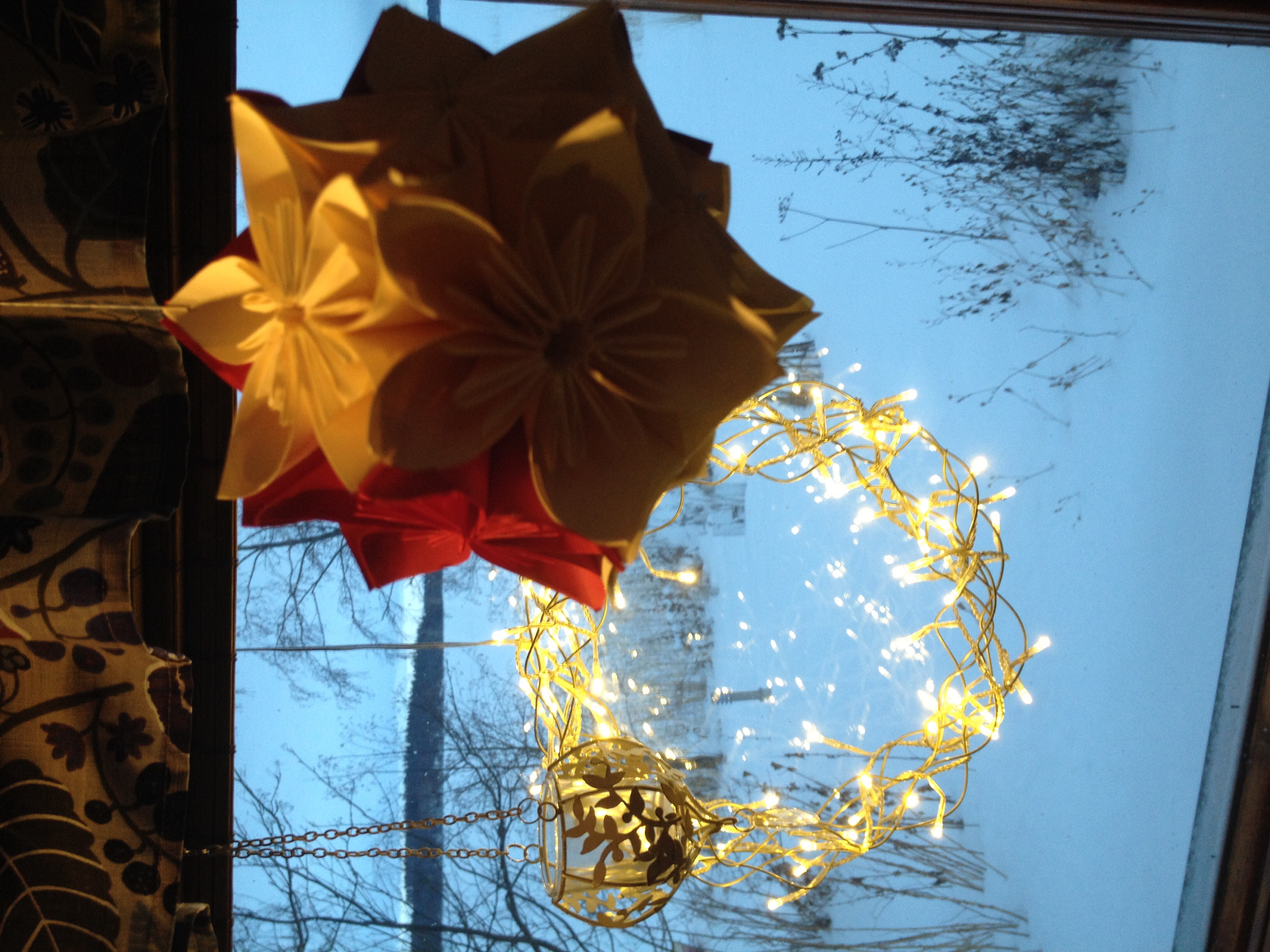 Joulukukka | Kodin Kuvalehti