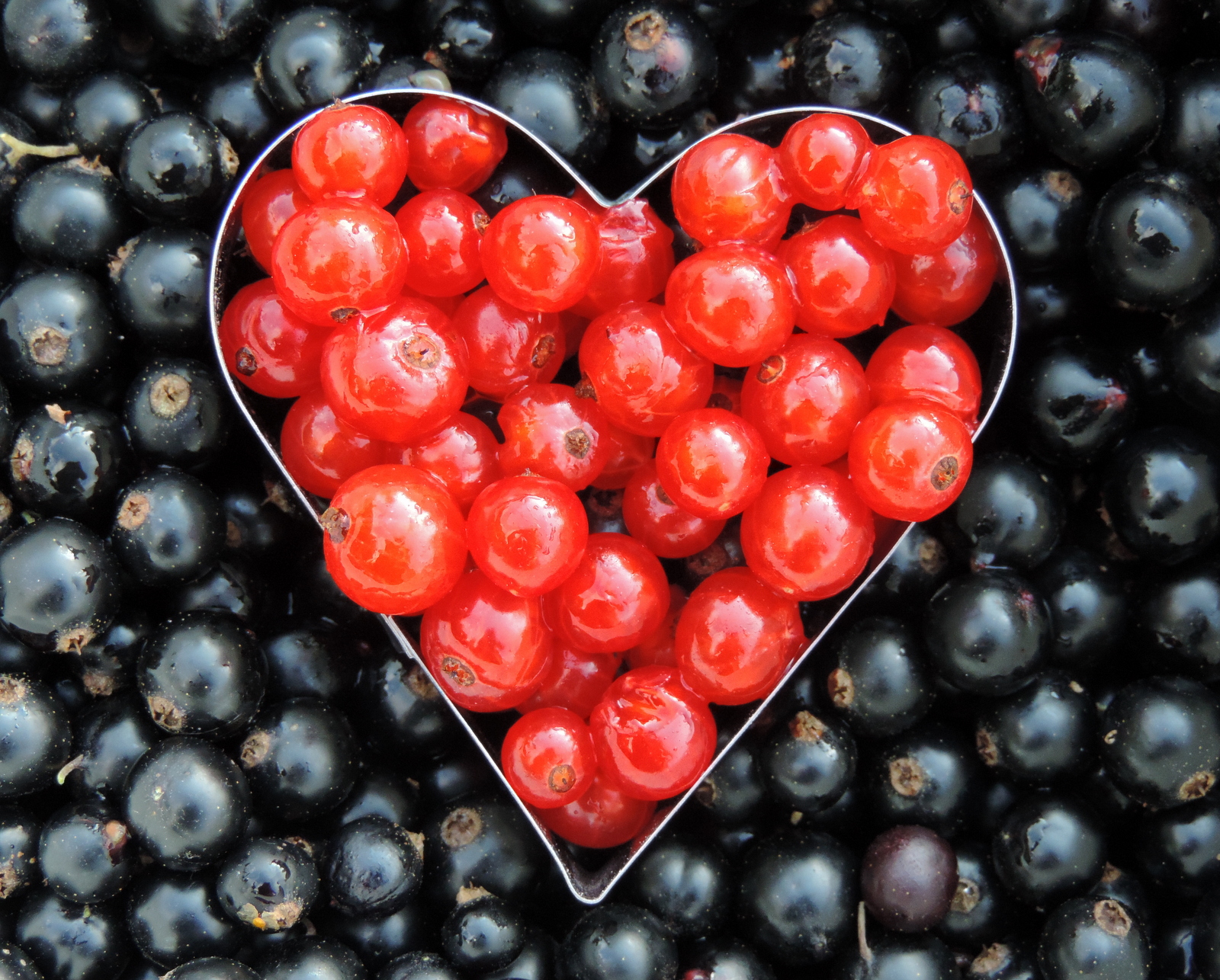 Sydän rakastaa marjoja | Kodin Kuvalehti