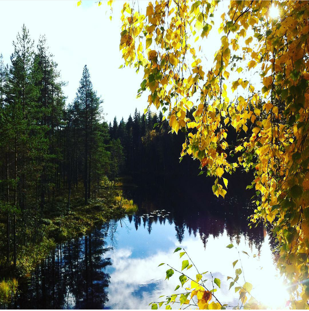 Luontokuva | Kodin Kuvalehti