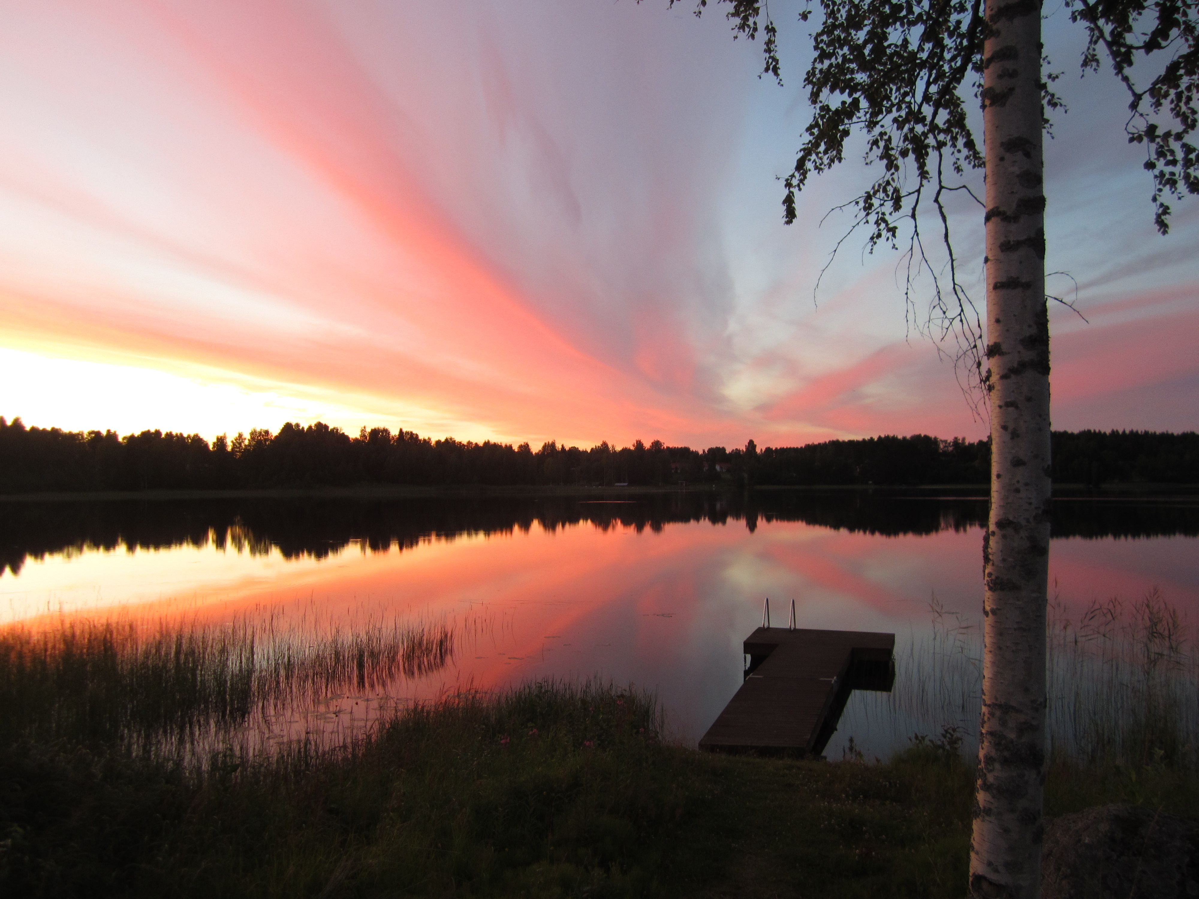 Luontokuva | Kodin Kuvalehti