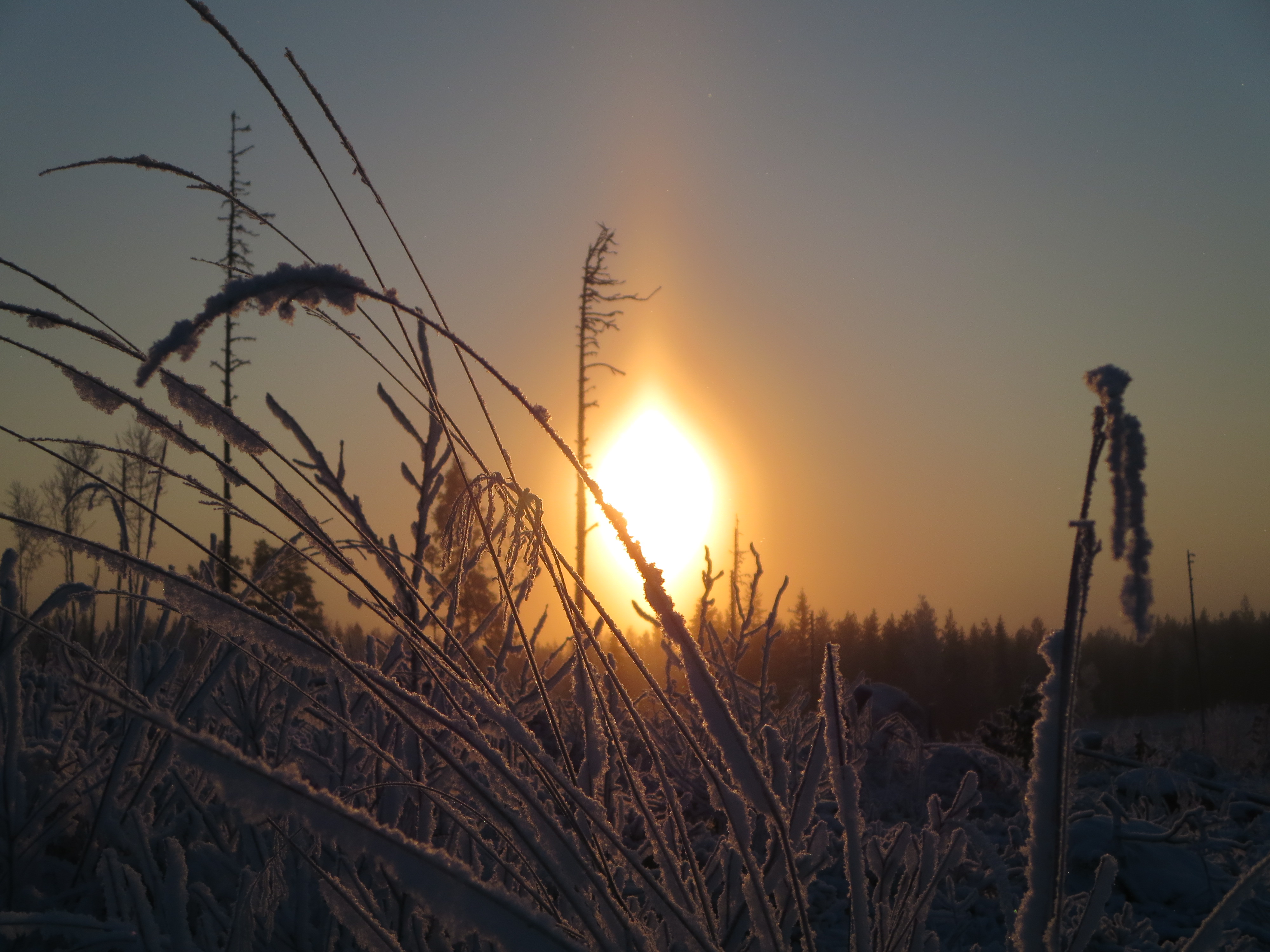 Tammikuu | Kodin Kuvalehti