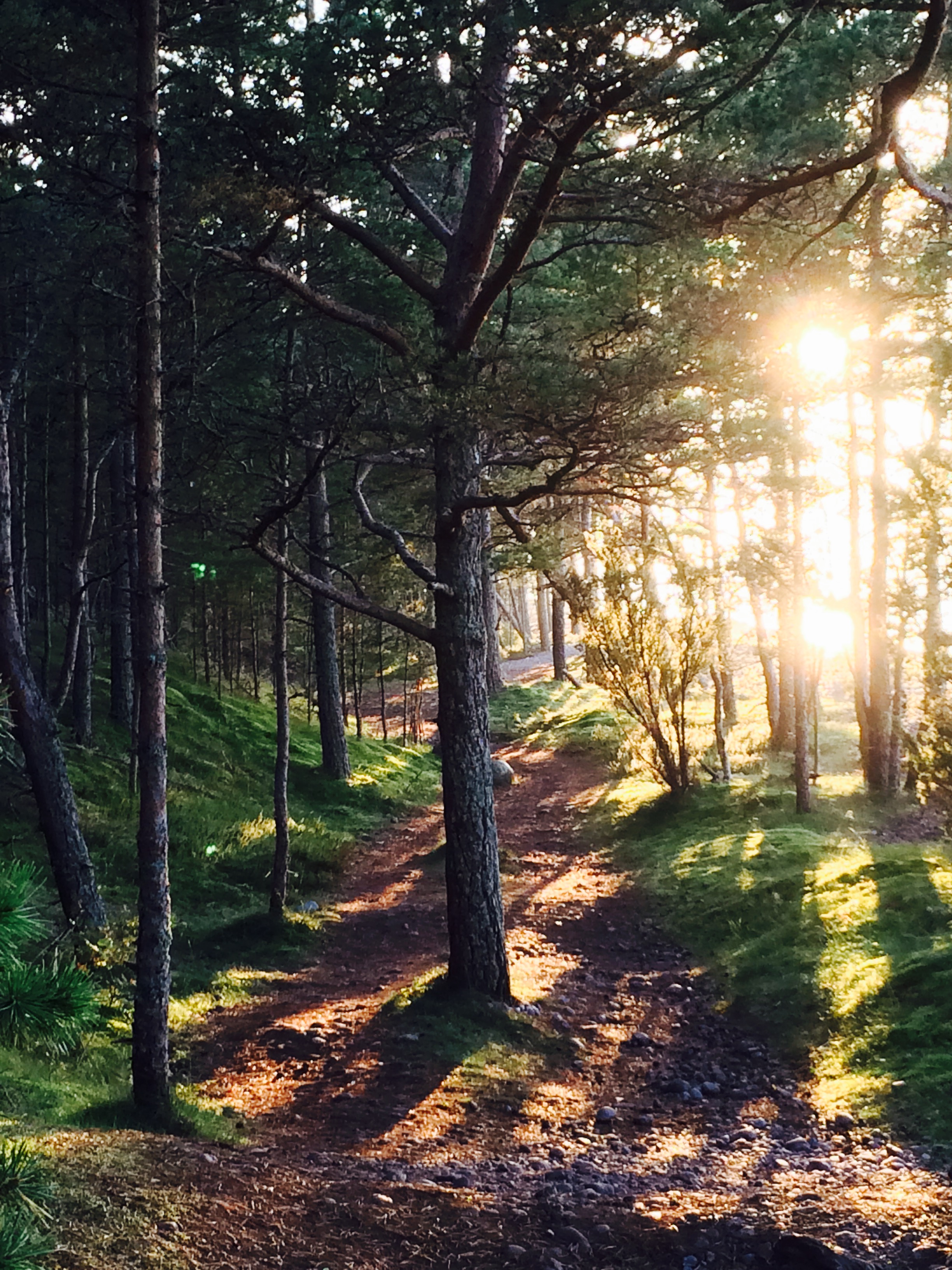 Luontokuva | Kodin Kuvalehti